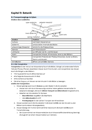 Hsb Sba by floyd - A simple guide for Hsb SBA’s - Subject: Human and ...