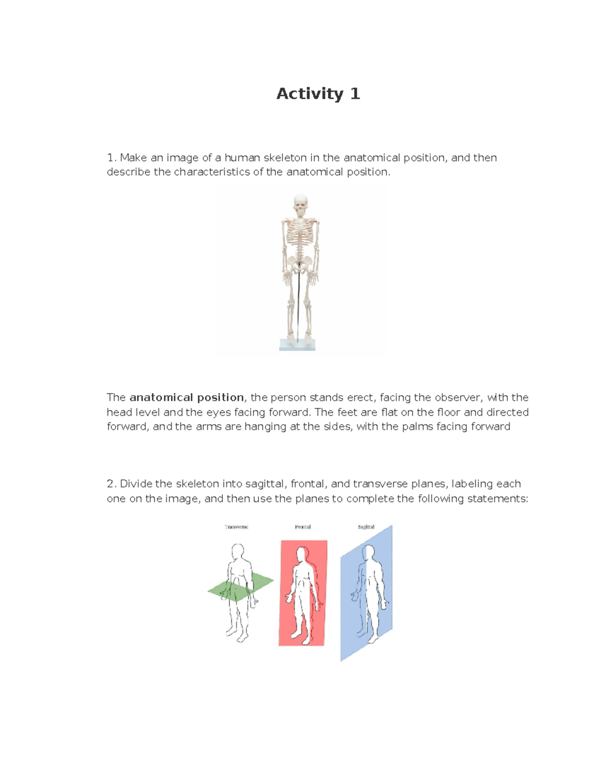 Module 1. Organization, Protection and Movement of the Human Body ...