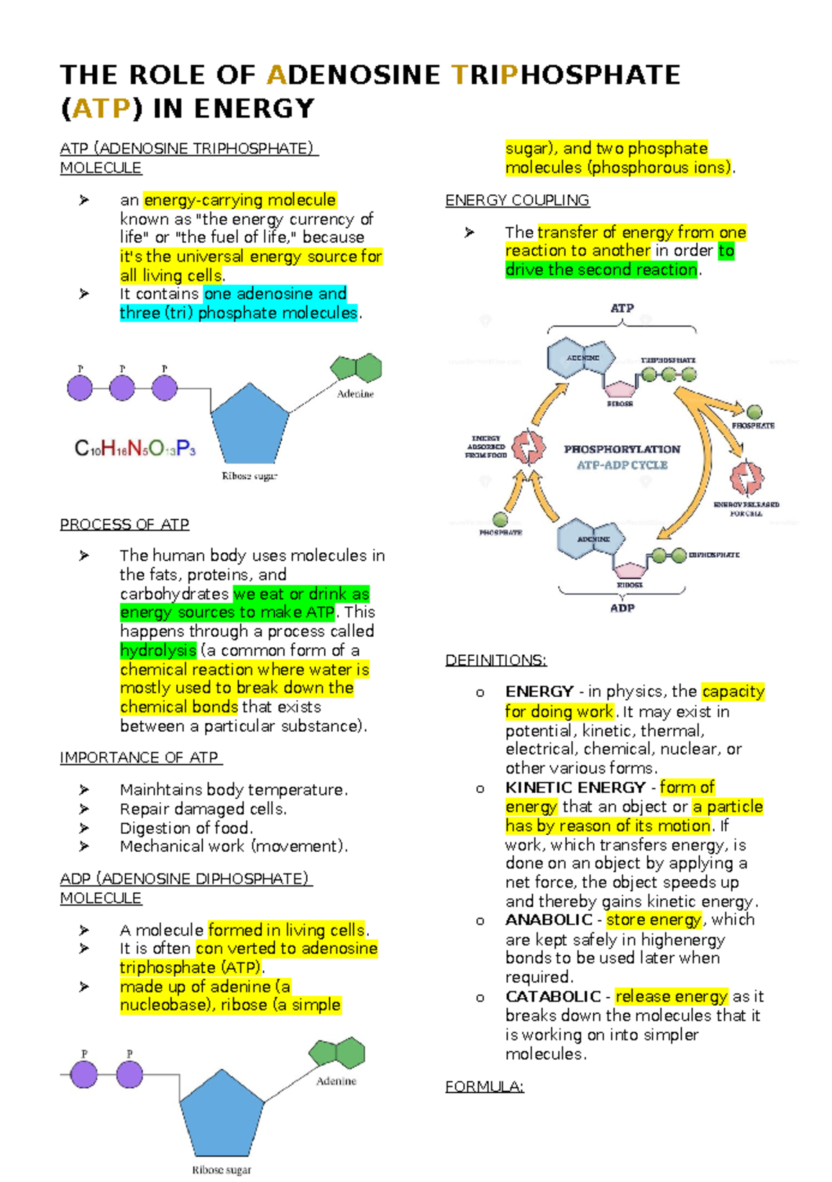General Biology Reviewer - THE ROLE OF ADENOSINE TRIPHOSPHATE (ATP) IN ...