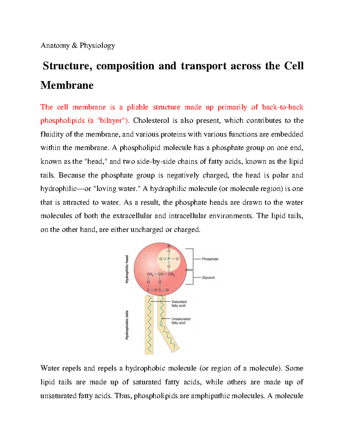 Structure, composition and transport across the Cell Membrane - Anatomy ...