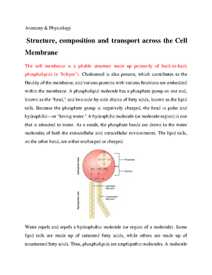 Nitrogen Cycle Steps and Significance - It is also the movement of ...