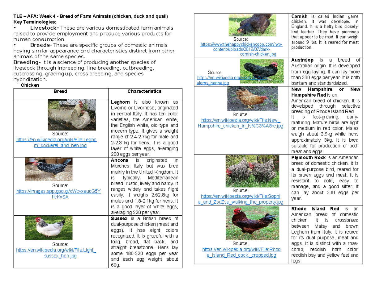 Notes week 4 breeds of farm animalschickenduckquail - TLE – AFA: Week 4 ...