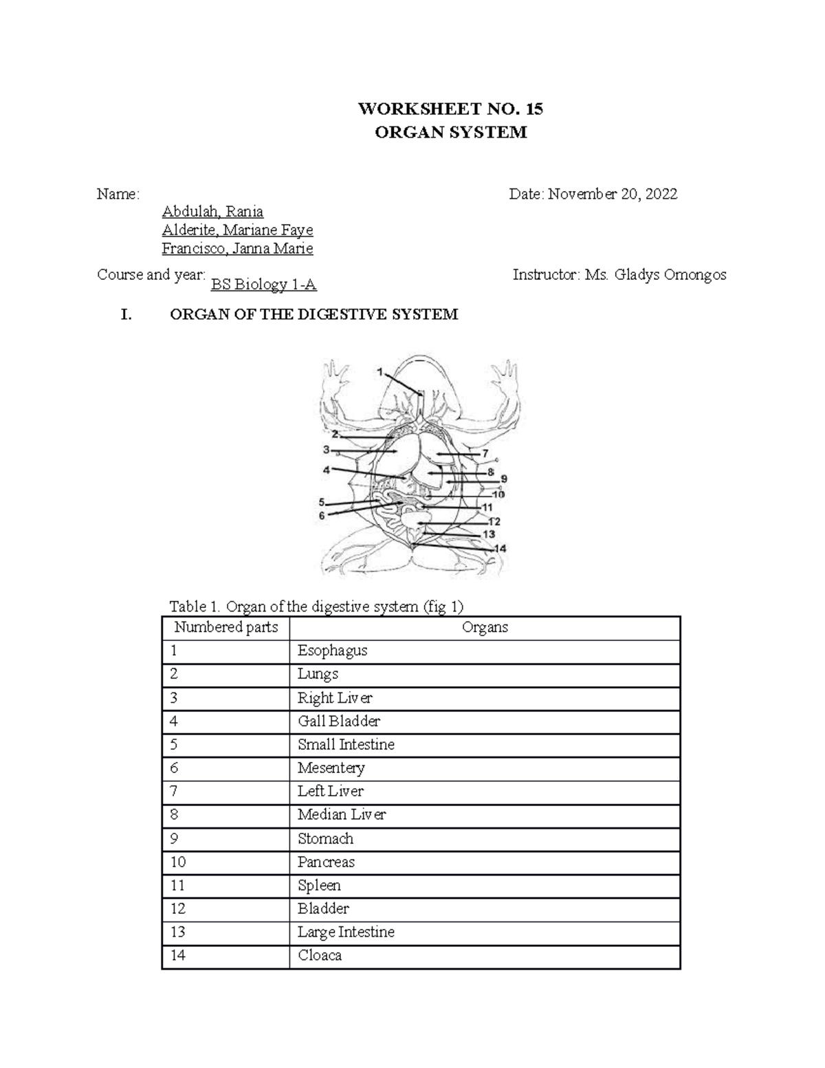 Group Act 15 organ system - WORKSHEET NO. 15 ORGAN SYSTEM Name: Date ...