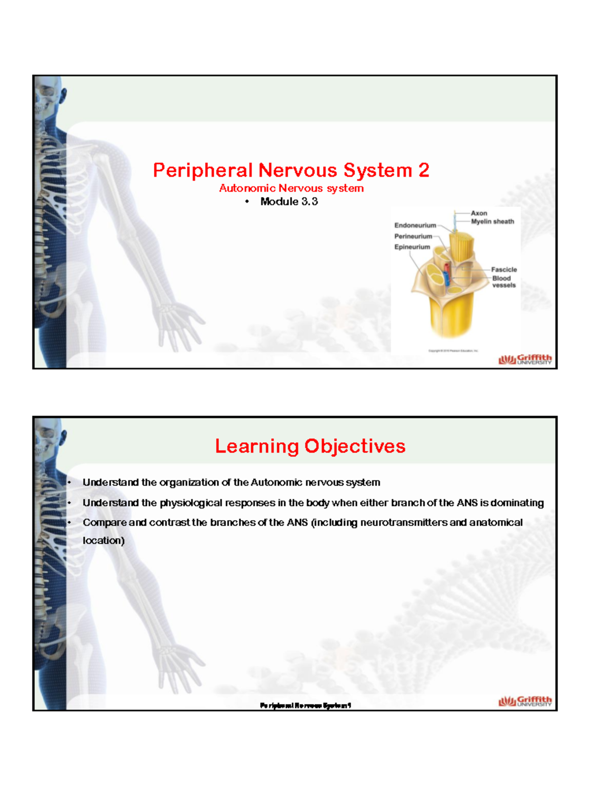 3.4 a - Lecture notes week 5-6 - Peripheral Nervous System 2 Autonomic ...