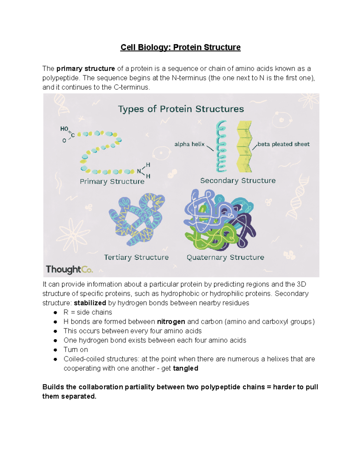 Cell Biology Protein Structure - The sequence begins at the N-terminus ...
