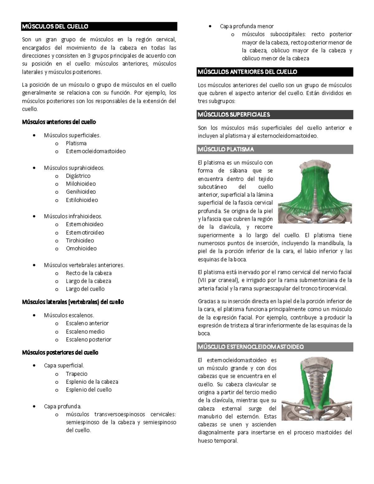 Músculos de la mímica - M⁄SCULOS DEL CUELLO Son un gran grupo de m ̇sculos en la regiÛn cervical ...