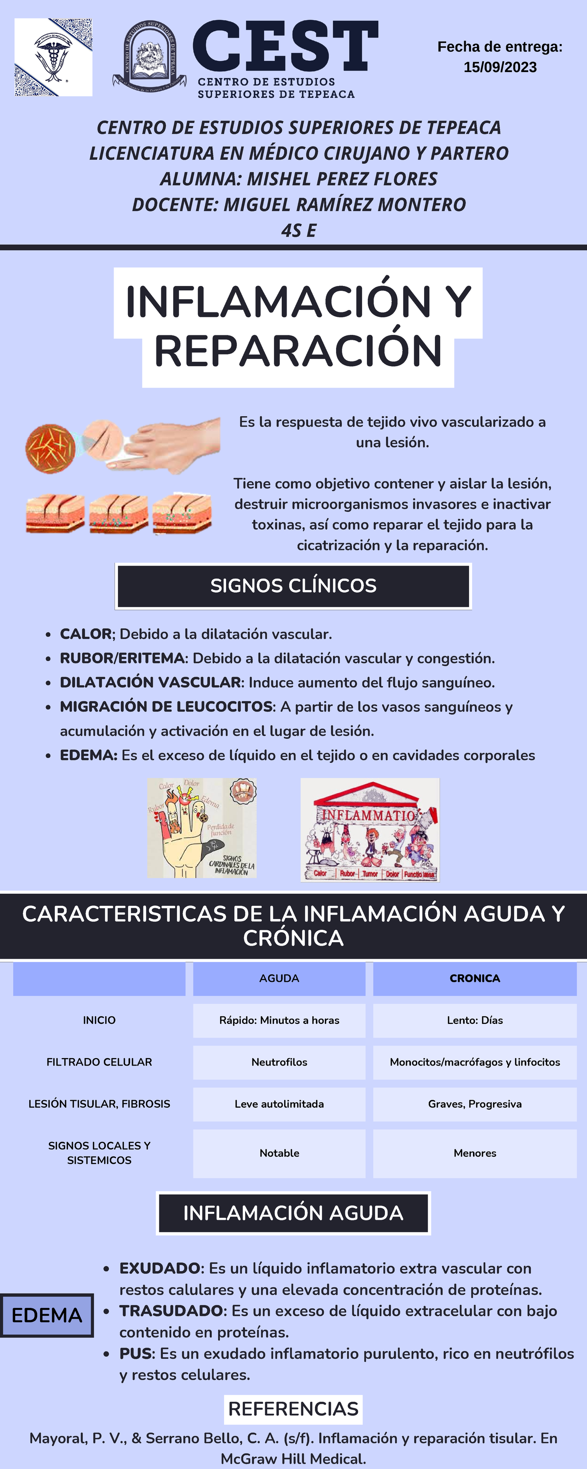 Inflamación Y Reparación - SIGNOS CLÍNICOS CARACTERISTICAS DE LA ...