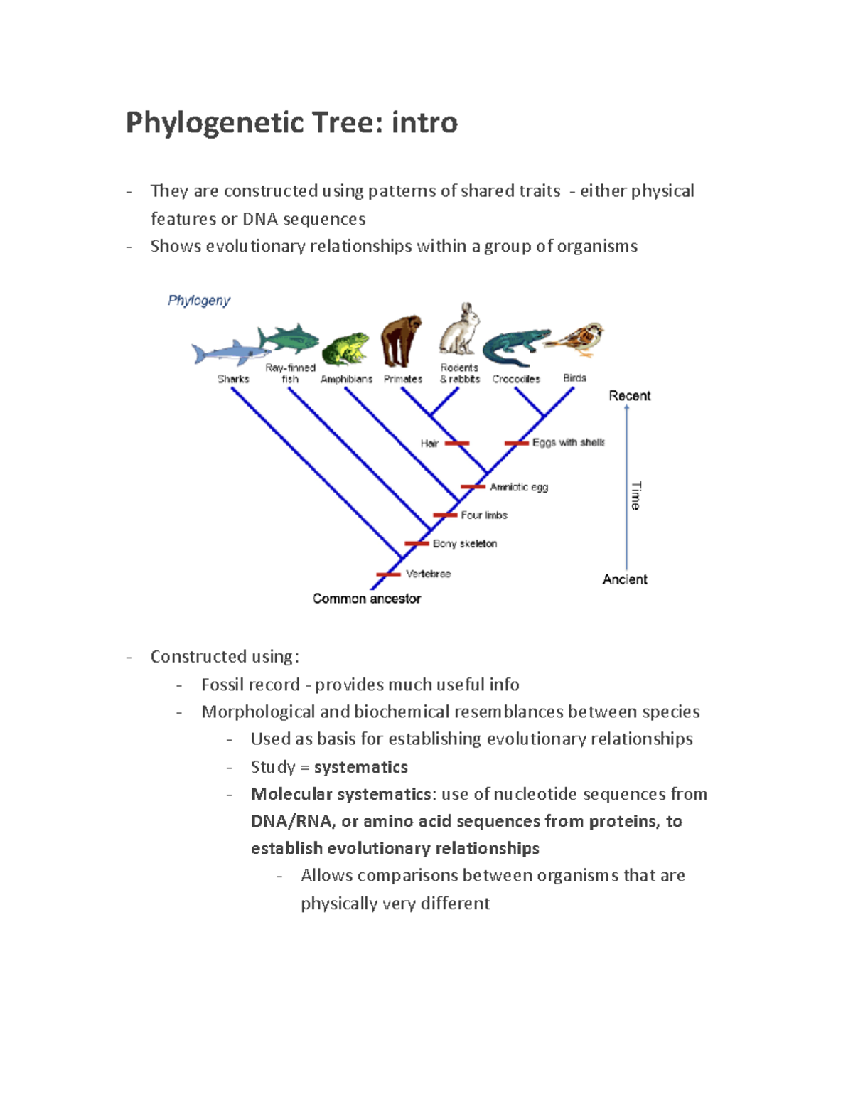 Chapter 25 - Phylogeny - notes - Phylogenetic Tree: intro They are ...