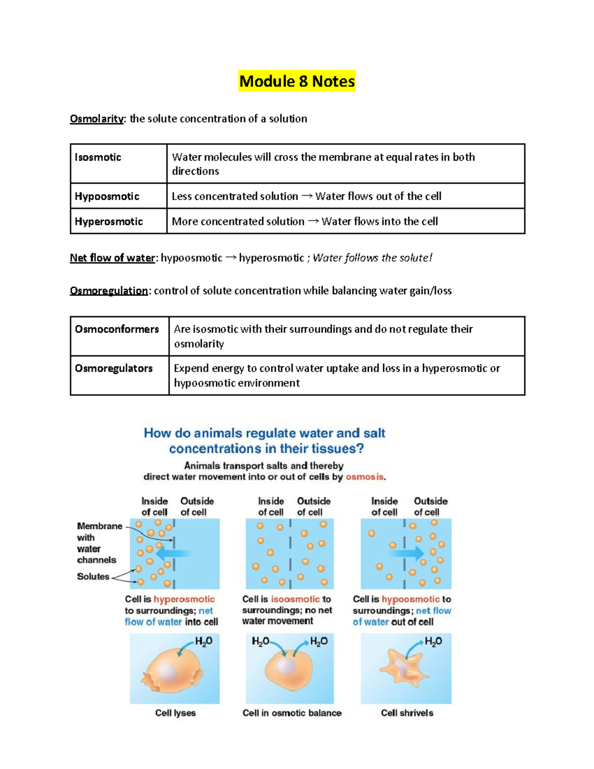 Module 8 Notes - Module 8 Notes Osmolarity: the solute concentration of ...