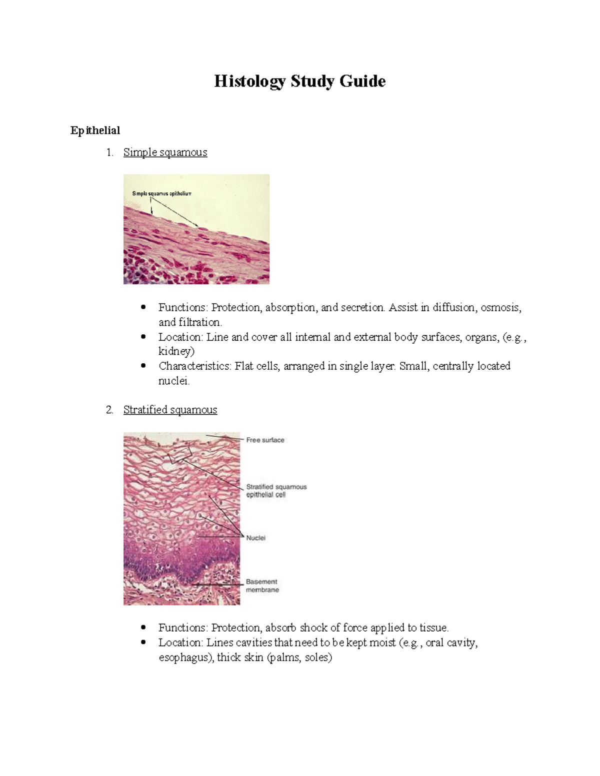Histology Study Guide - Histology Study Guide Epithelial Simple ...