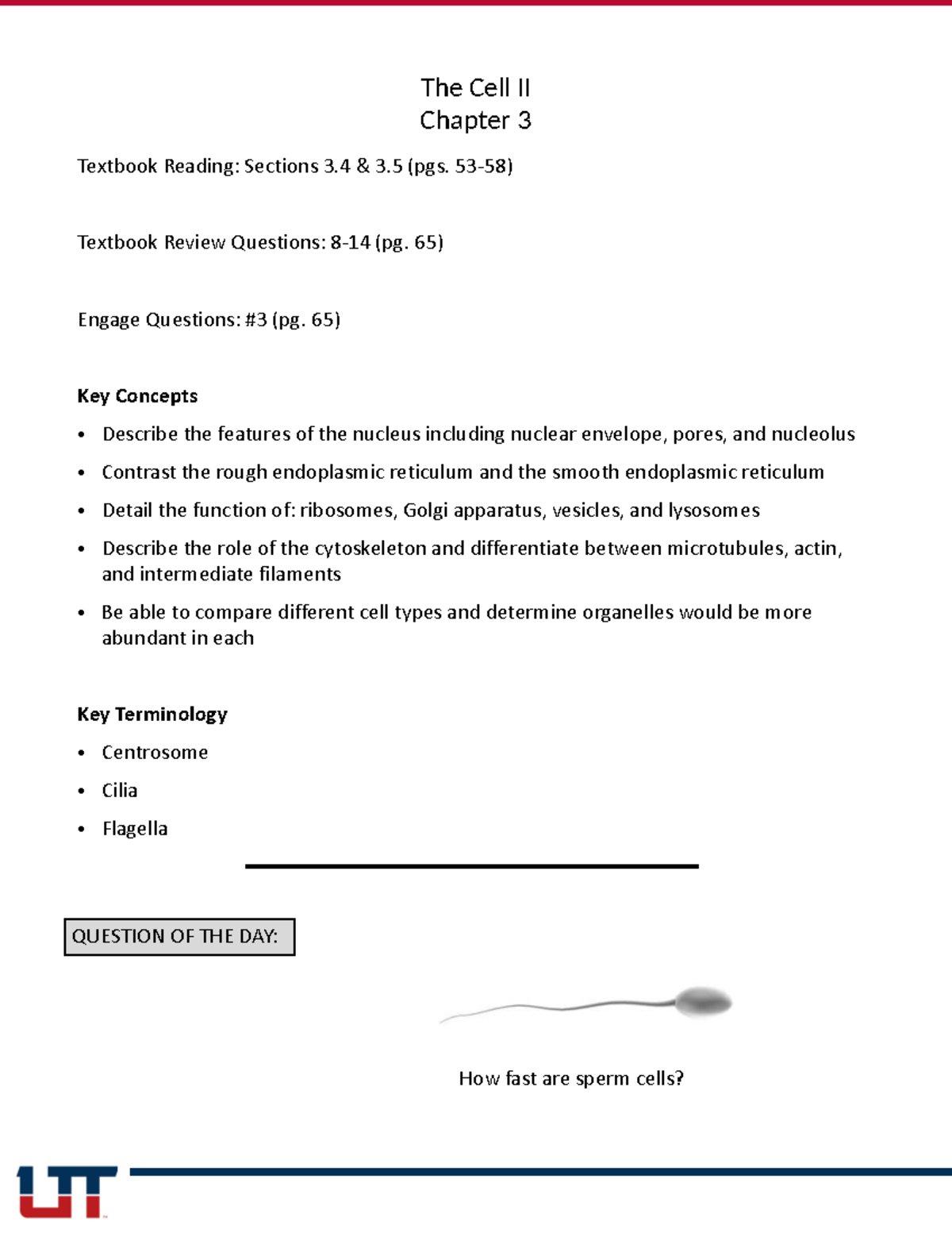 (7) The Cell II Notes - The Cell II Chapter 3 QUESTION OF THE DAY: How ...