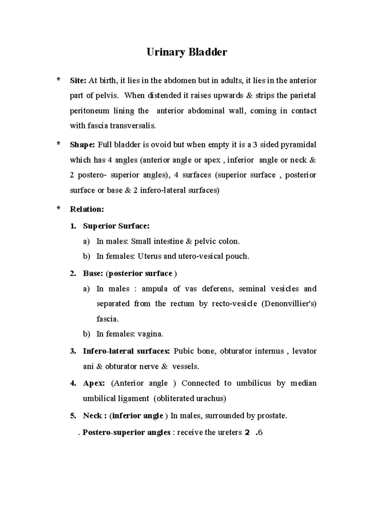 Anatomy Urinary Bladder - Urinary Bladder Site: At birth, it lies in ...