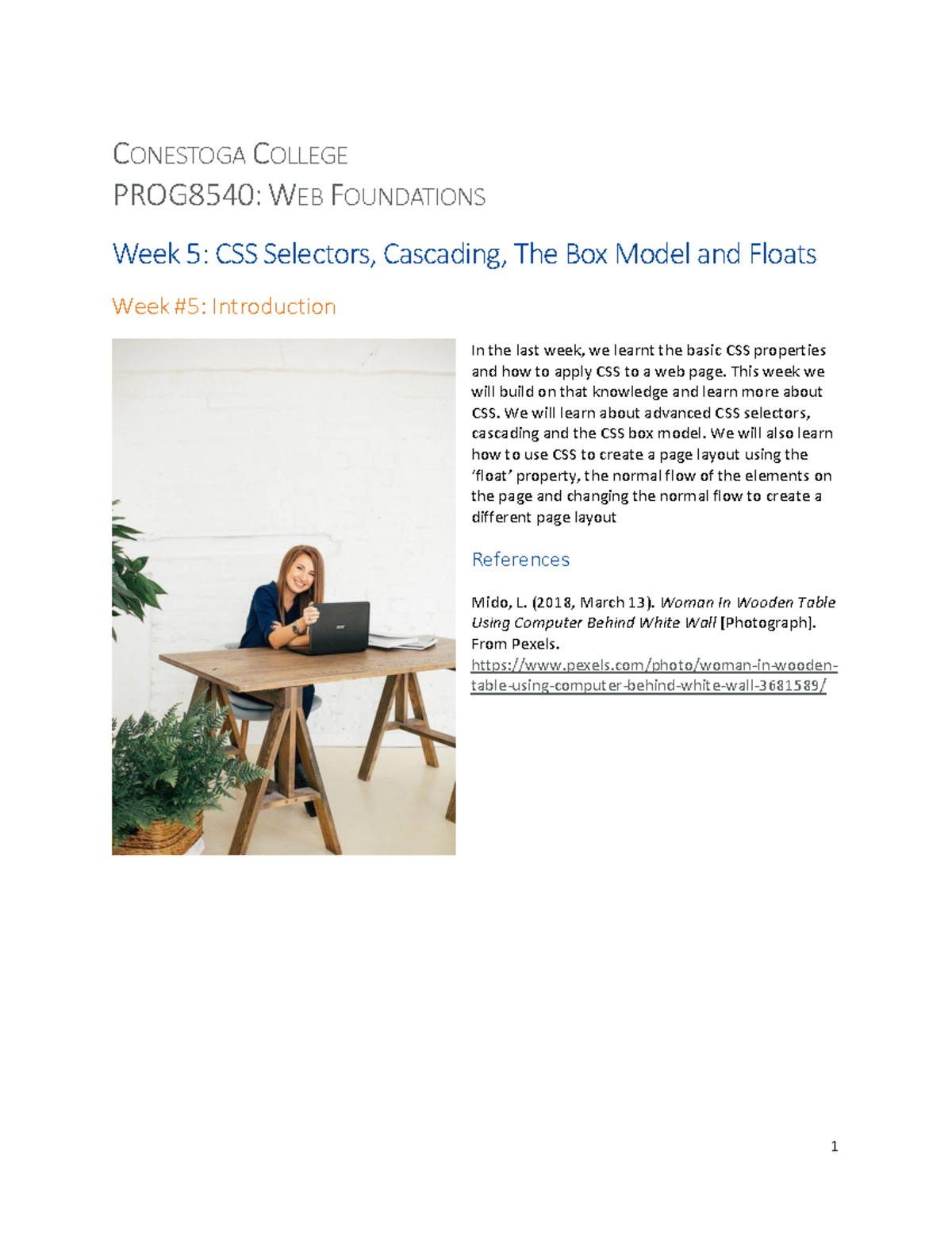 PROG8540 week 5 - These are lecture notes for Computer Applications ...