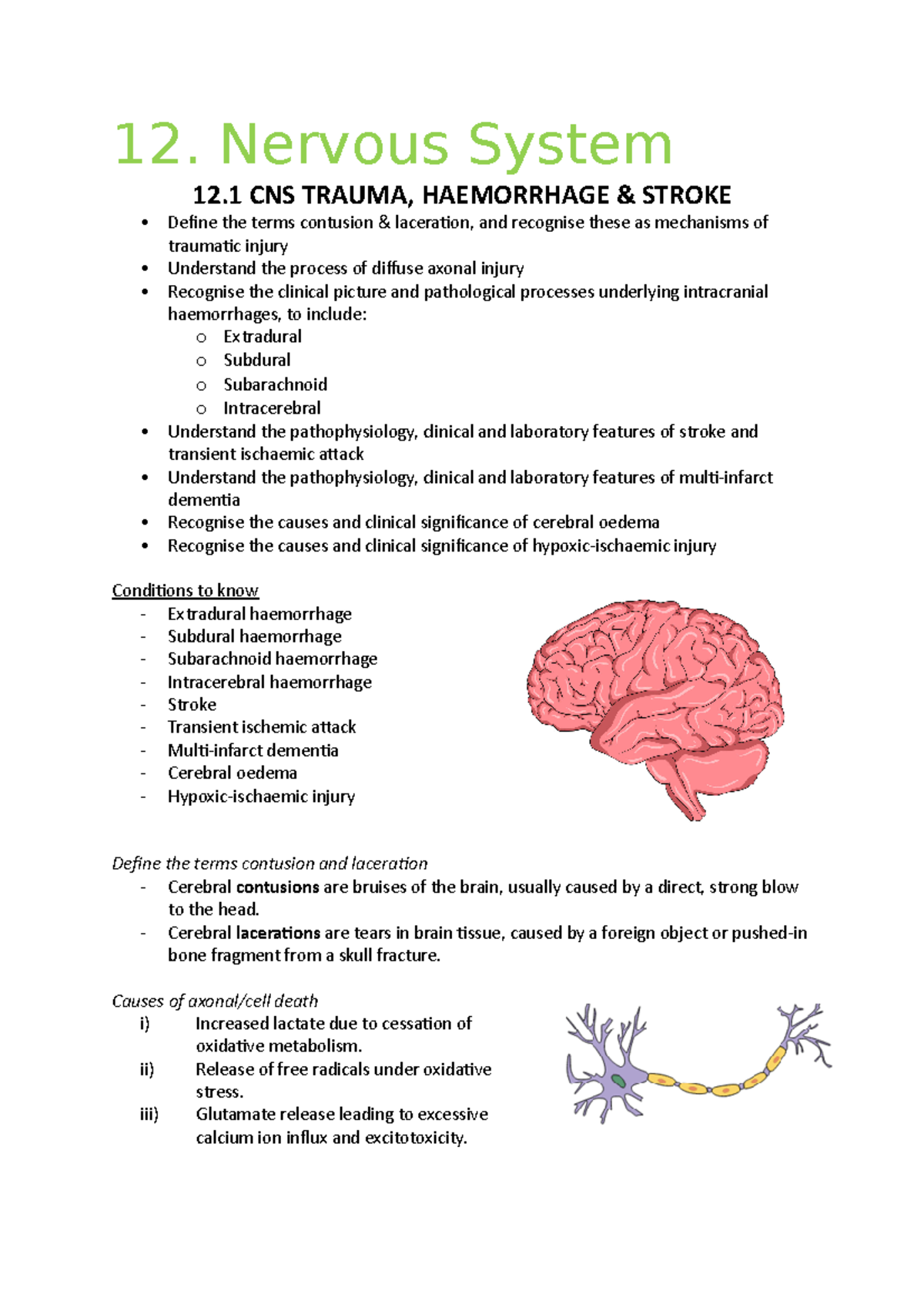 12. Nervous System - Oxford University Laboratory Medicine Course ...