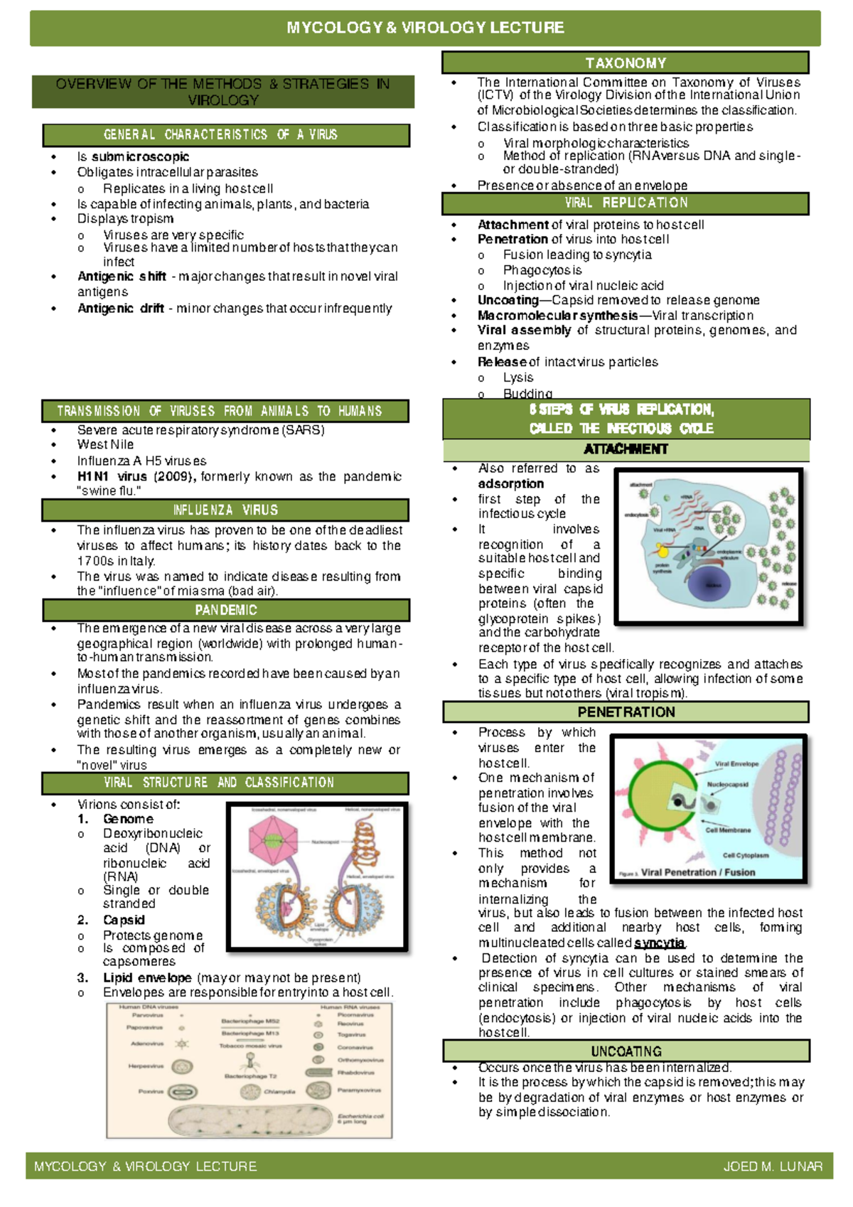 Mycoviro-CH64 - wedg54y - GENE R A L CHARA C TE R IS T ICS OF A VIRUS ...