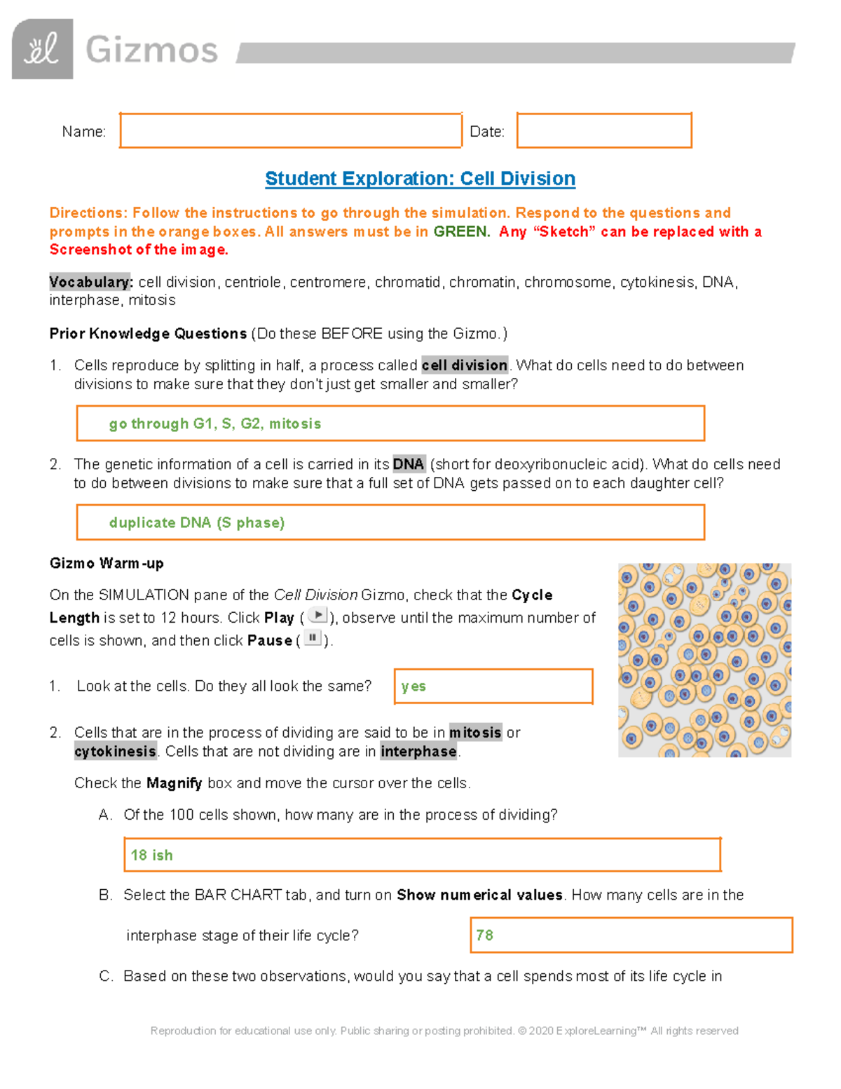 Jaslyn Chen - Pd 9 Cell Division Gizmo - Name: Date: Student ...