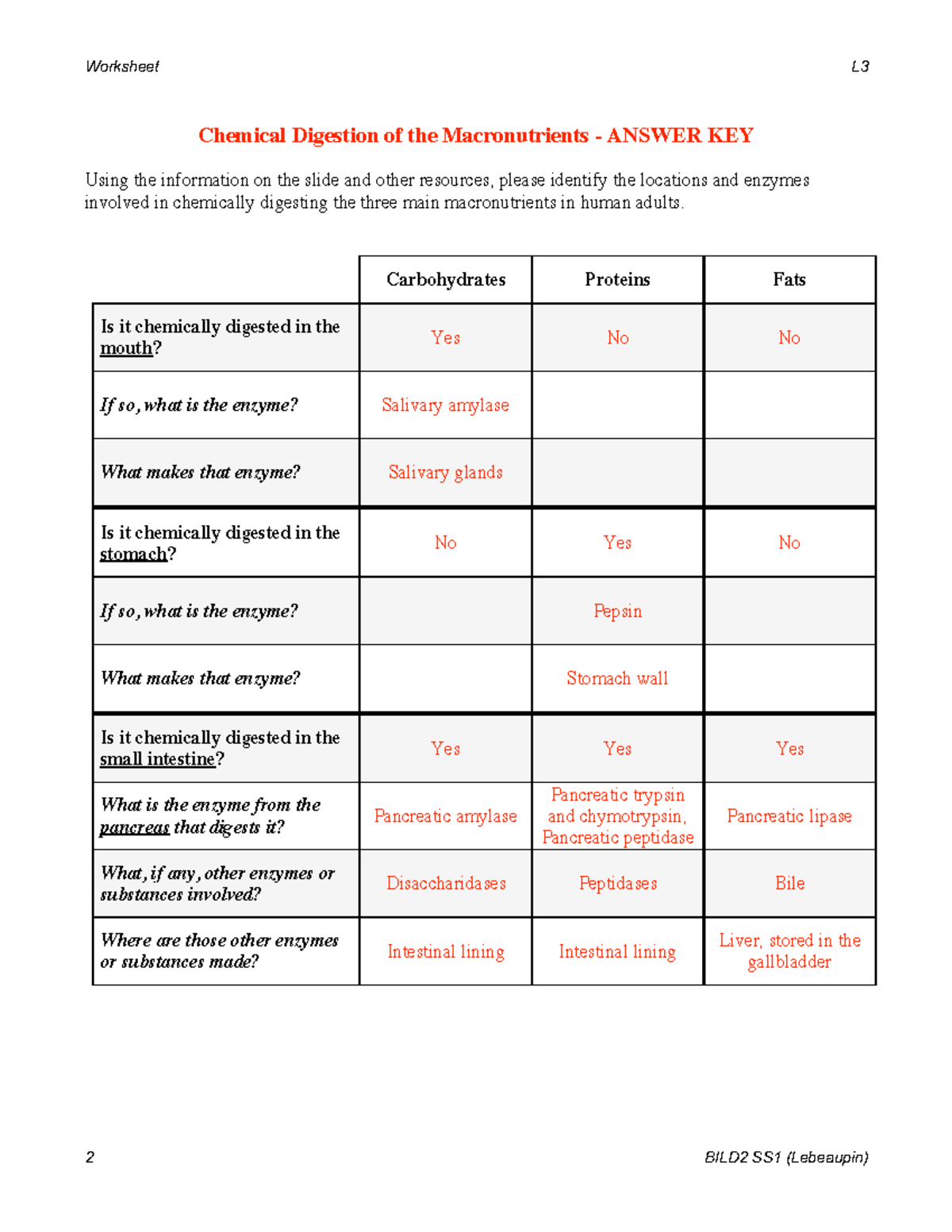 BILD2 Answers Digestion Woorkshet - BILD 2 - UCSD - Studocu