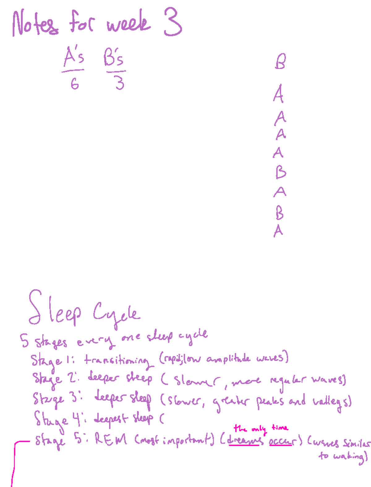 Sleep Cycle, Drugs - Notes for week 3 Af BI B A A A A B A B A Sleep ...