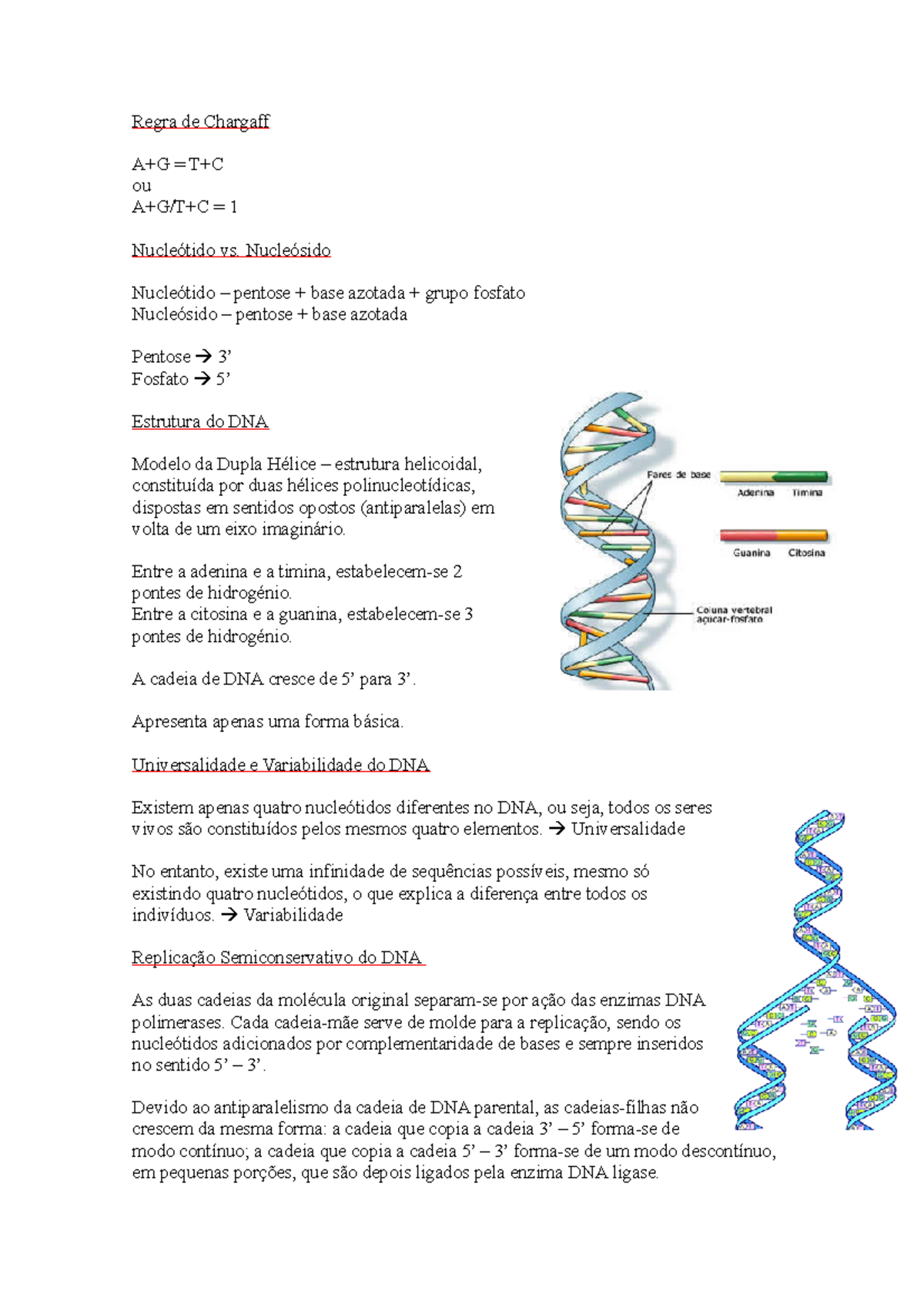 BG 12 ano resumo - Regra de Chargaff A+G = T+C ou A+G/T+C = 1 ...