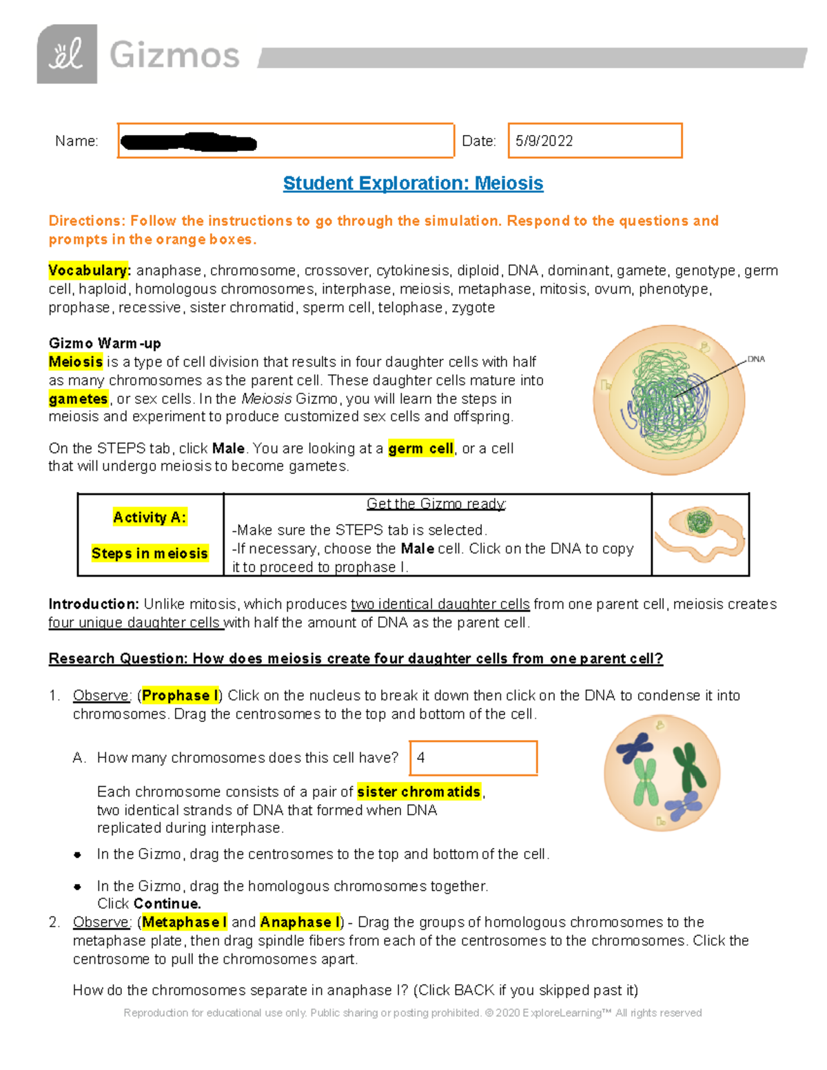 Copy of Meiosis Gizmo - Name: Audrey Wasbauer Date: 5/9/ Student ...