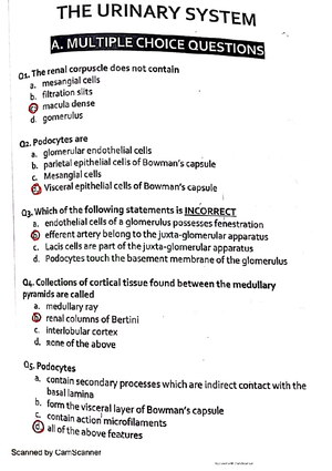 Mcq renal exam - Urinary system - Studocu