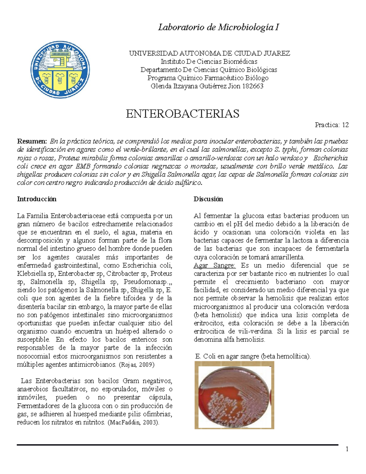 Practica 12. Enterobacterias - Laboratorio de Microbiología I ...