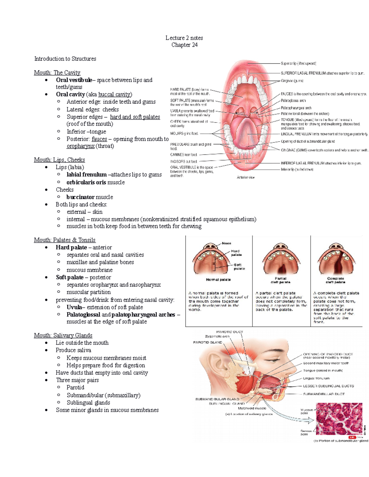 Ch 24 pt2 notes - Lecture 2 notes Chapter 24 Introduction to Structures ...
