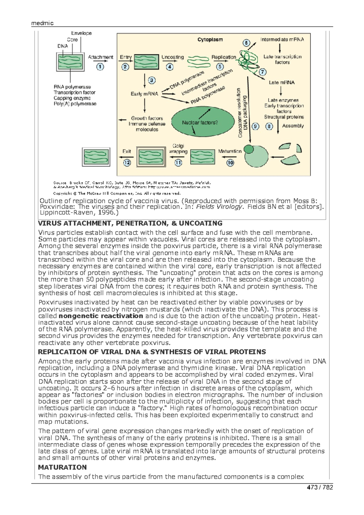 Jawetz s Medical Microbiology Twenty Fifth Edition Lange Basic Science -401-500-75 - Outline of ...