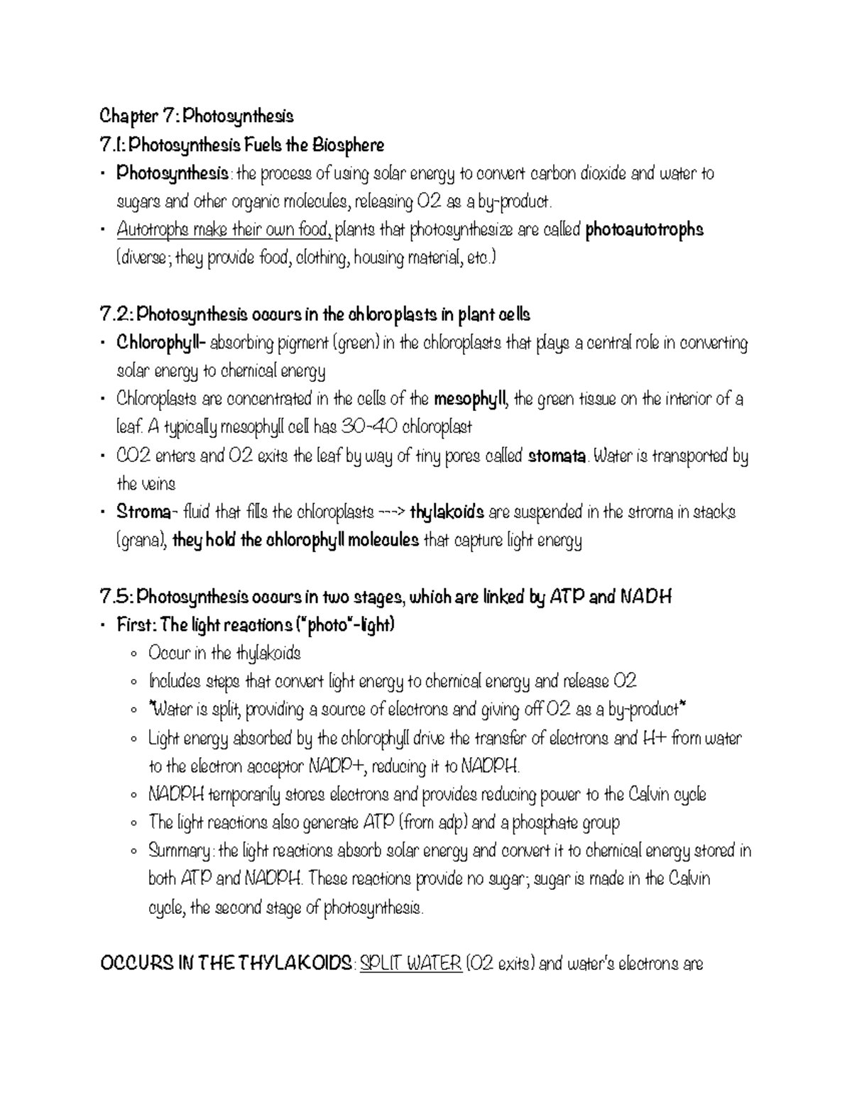 Chapter 7: Photosynthesis - Chapter 7: Photosynthesis 7: Photosynthesis ...
