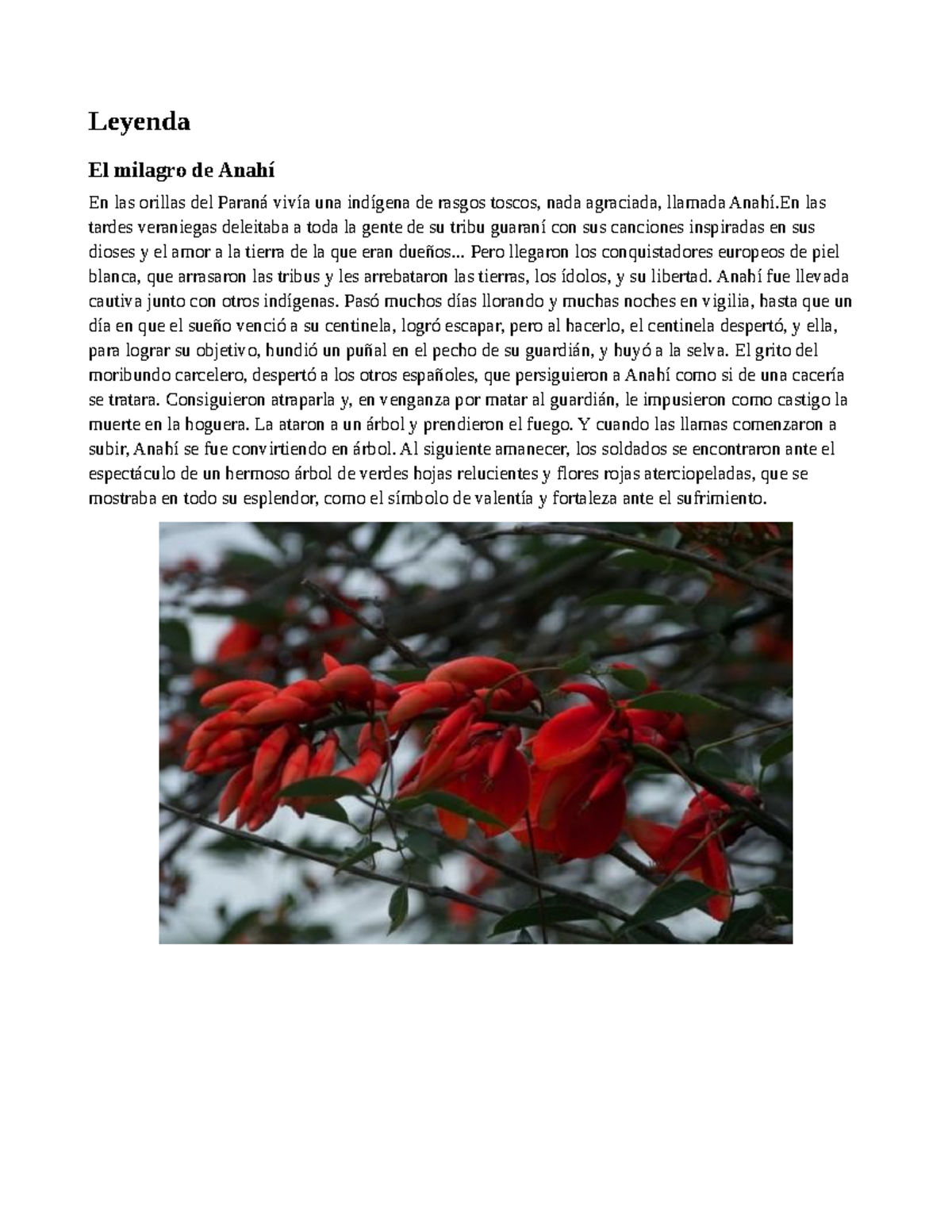 Leyenda FLOR DEL Ceibo - Leyenda El milagro de Anahí En las orillas del ...