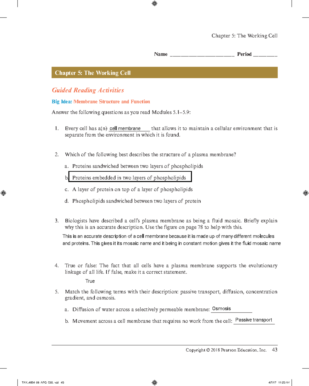 Kami Export - Arnav Singh - cbcc9-guided-reading-ch05 - Copyright ...
