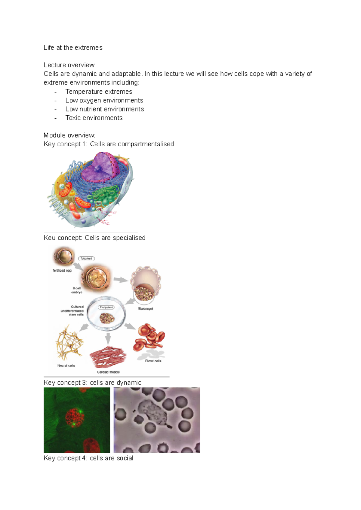 life at the extreme - Life at the extremes Lecture overview Cells are ...