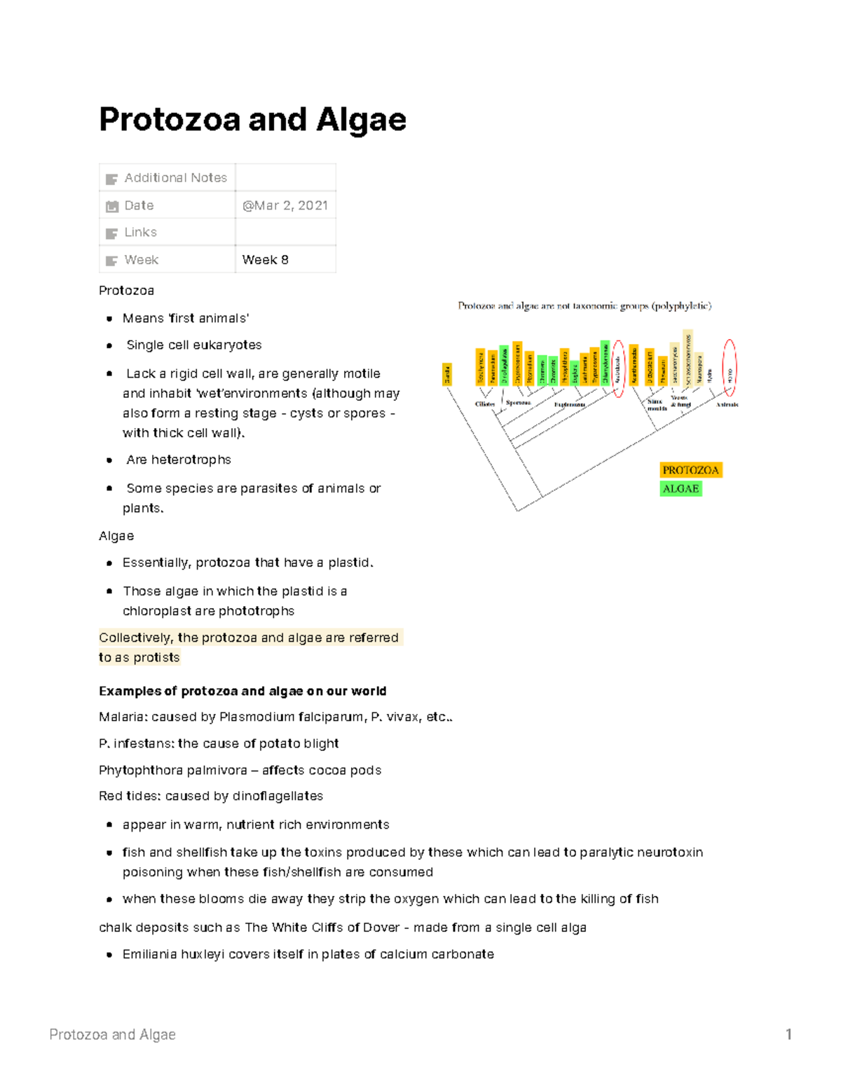 Protozoa and Algae - Lecture notes 16 - Protozoa and Algae Additional ...
