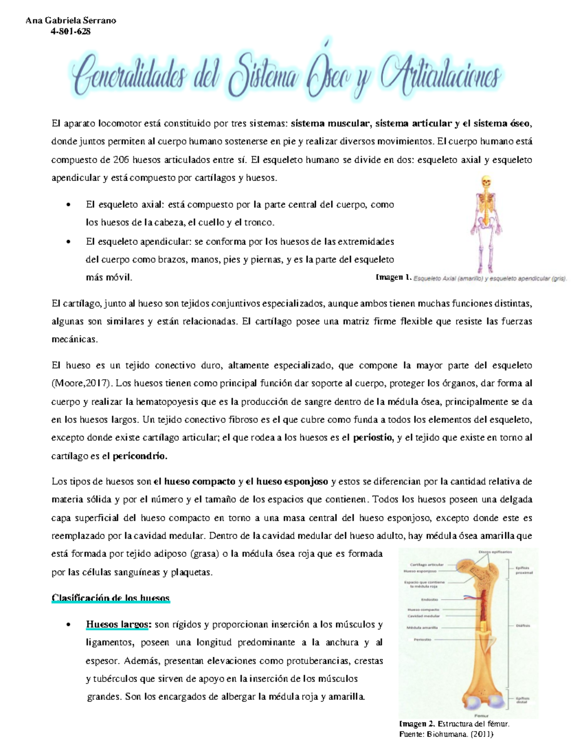 Resumen sistema óseo - Warning: TT: undefined function: 32 El aparato locomotor está constituido ...