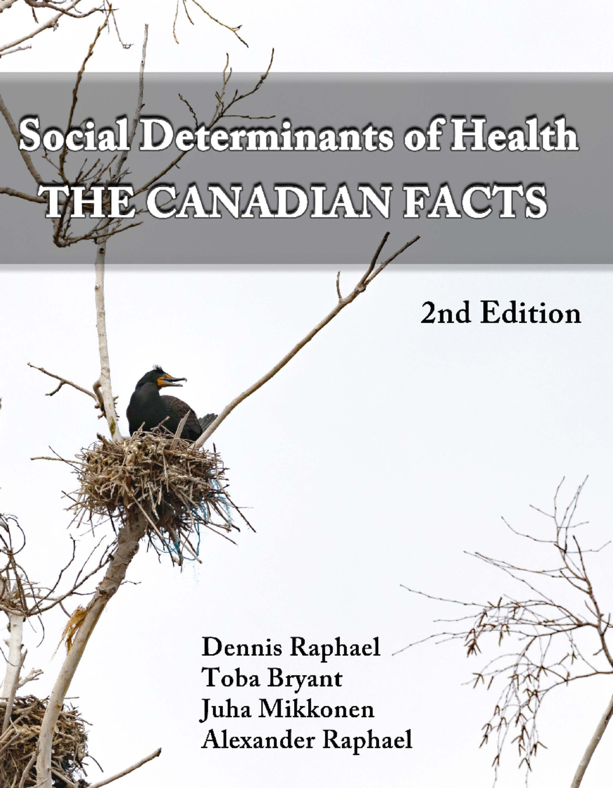 The Canadian Facts-2nd ed - Social Determinants of Health: The Canadian ...