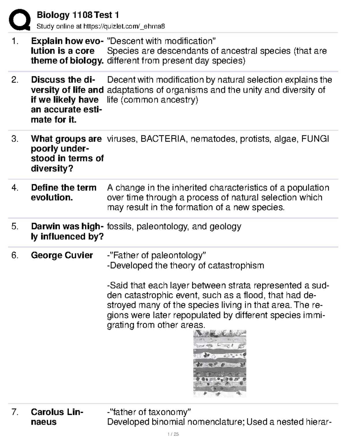 Flashcards - notes - Study online at quizlet/_ehrna Explain how evo ...