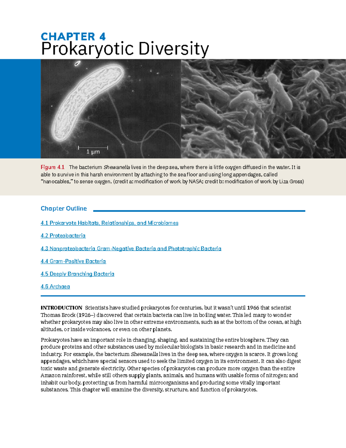 Micriobiology and Parasitology Chap4 - INTRODUCTION CHAPTER 4 ...