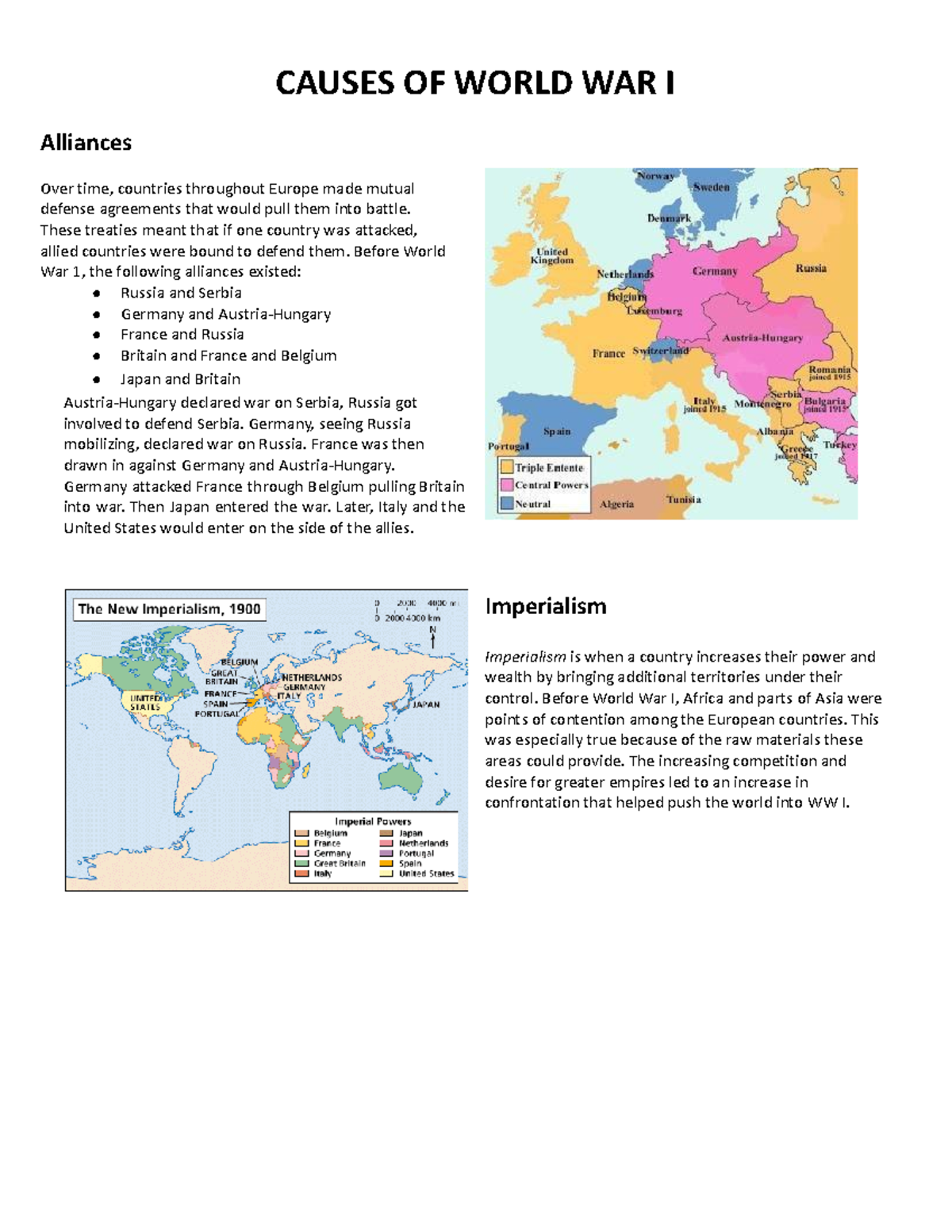 Causes for WWI - CAUSES OF WORLD WAR I Alliances Over time, countries ...
