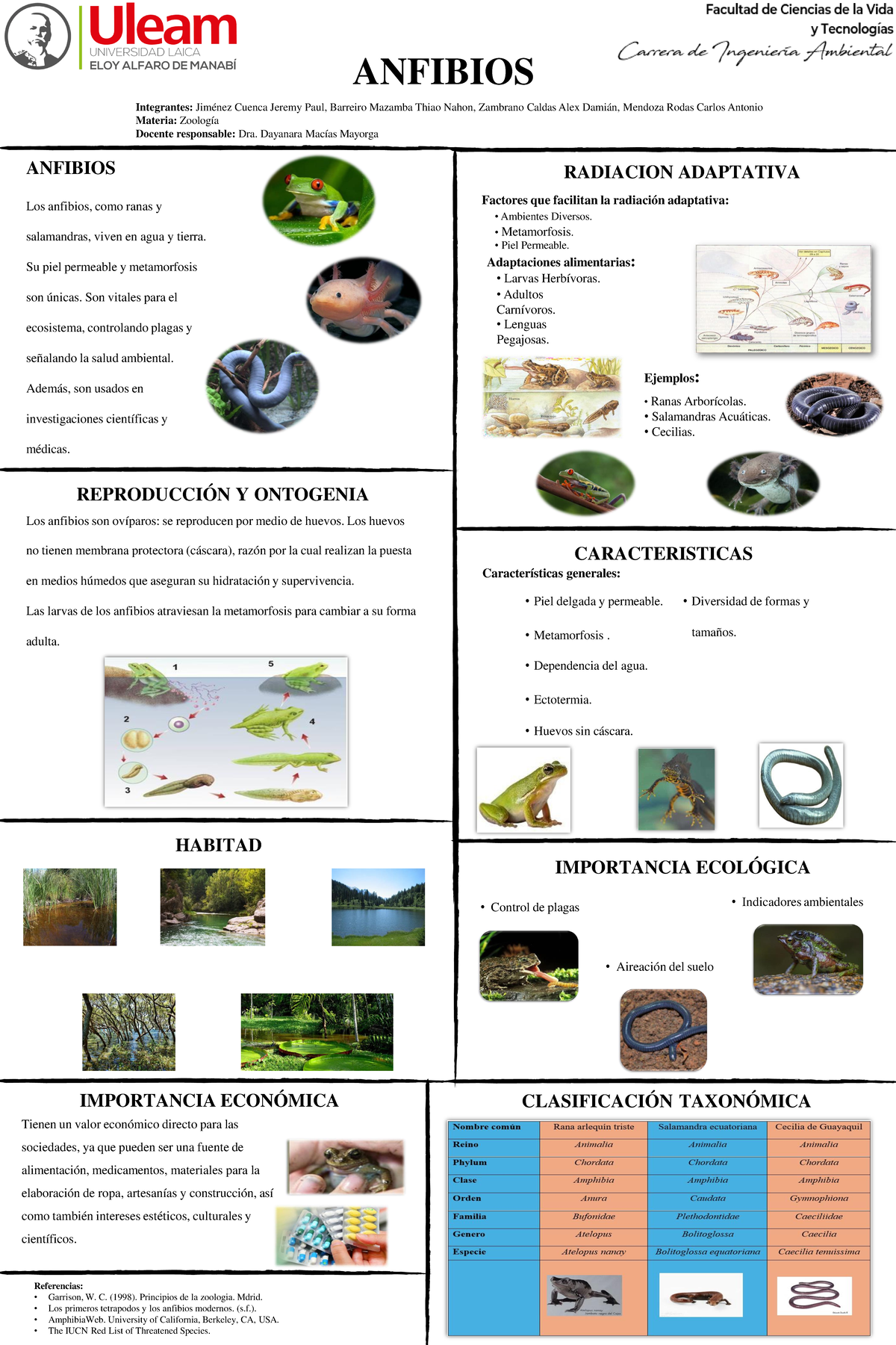 Cartel Anfibios Zoologia-1 - ANFIBIOS Los anfibios, como ranas y ...