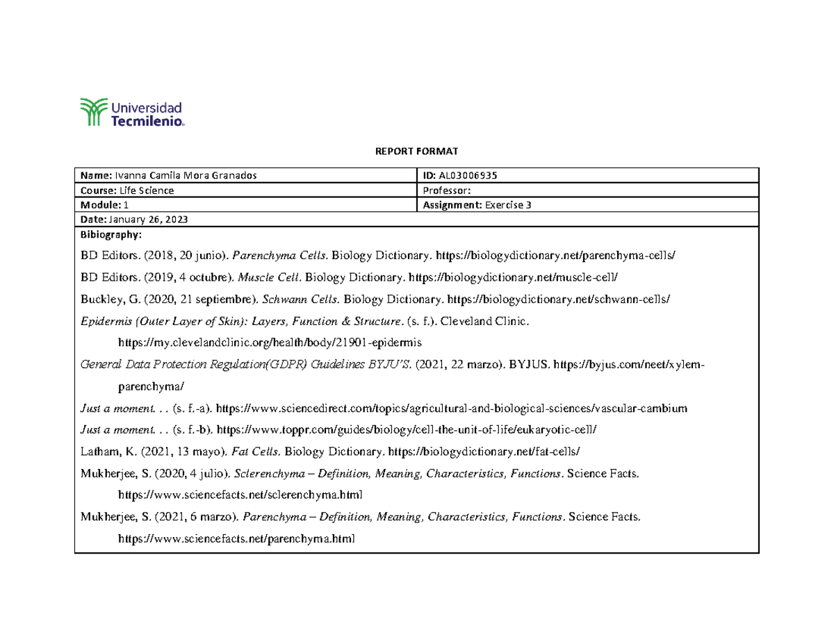 Exercise 3 - n.l,ldfghjñ.,jfhdxfb - REPORT FORMAT Name: Ivanna Camila ...