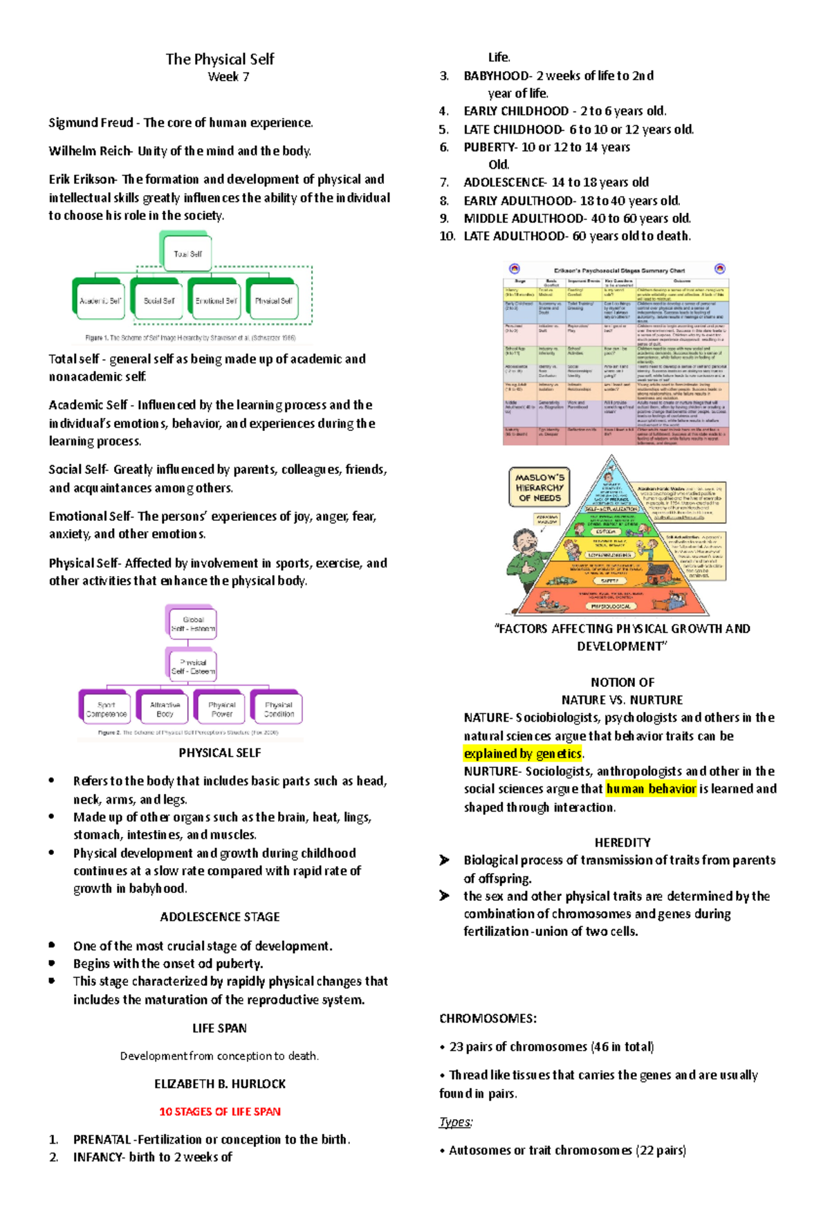 The Physical Self reviewer UTS - The Physical Self Sigmund Freud - The ...