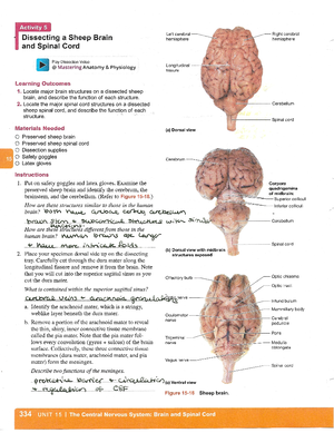 Unit 15 prelab. - BIOS 2310L - Studocu