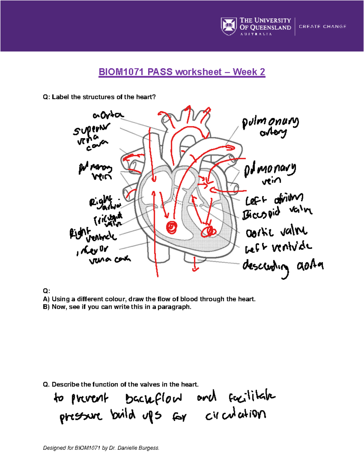 Week 2 - Cardiovascular 1 - BIOM1071 PASS worksheet – Week 2 Q: Label ...