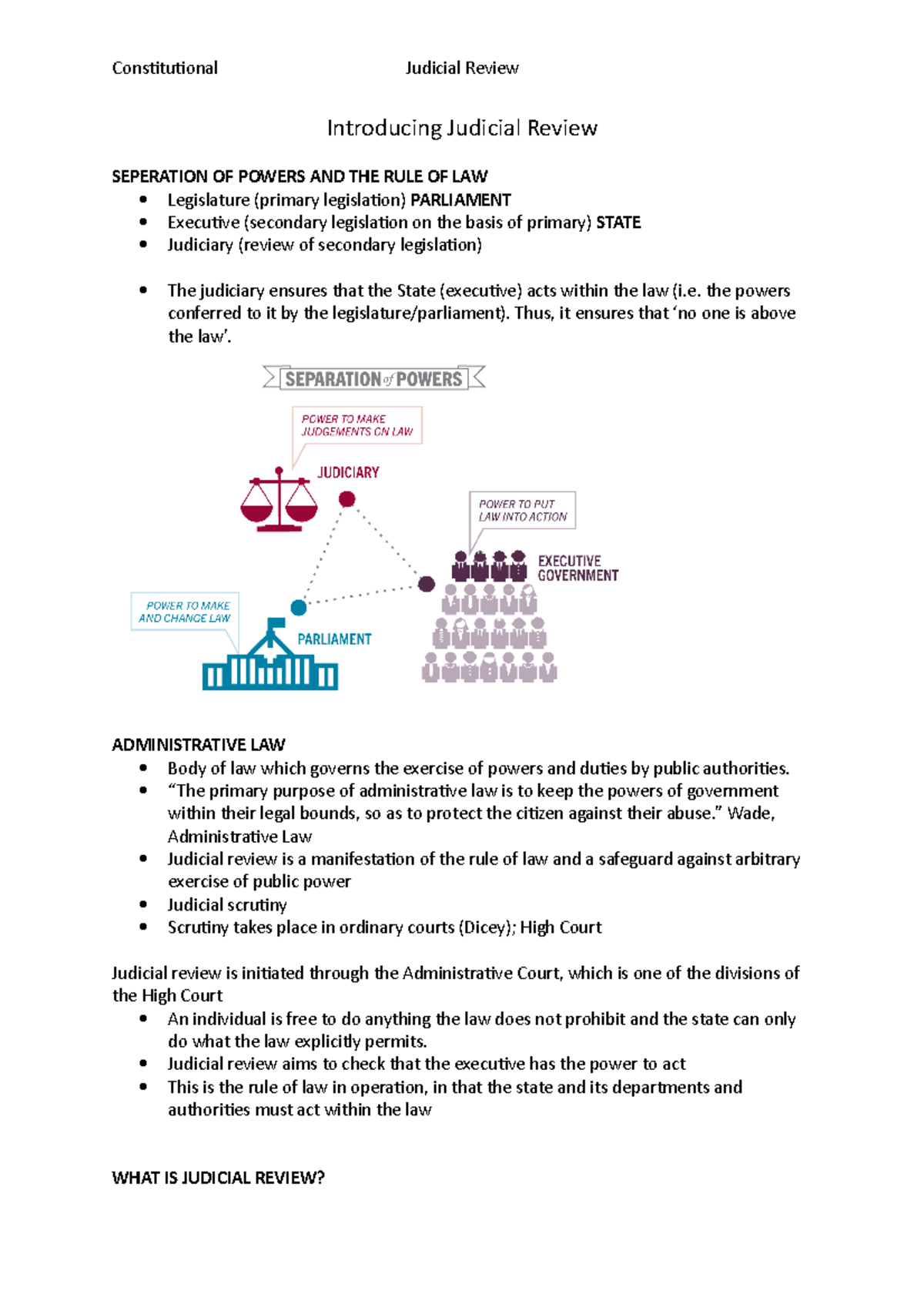 Introducing Judicial Review Consti - Constitutional Judicial Review ...