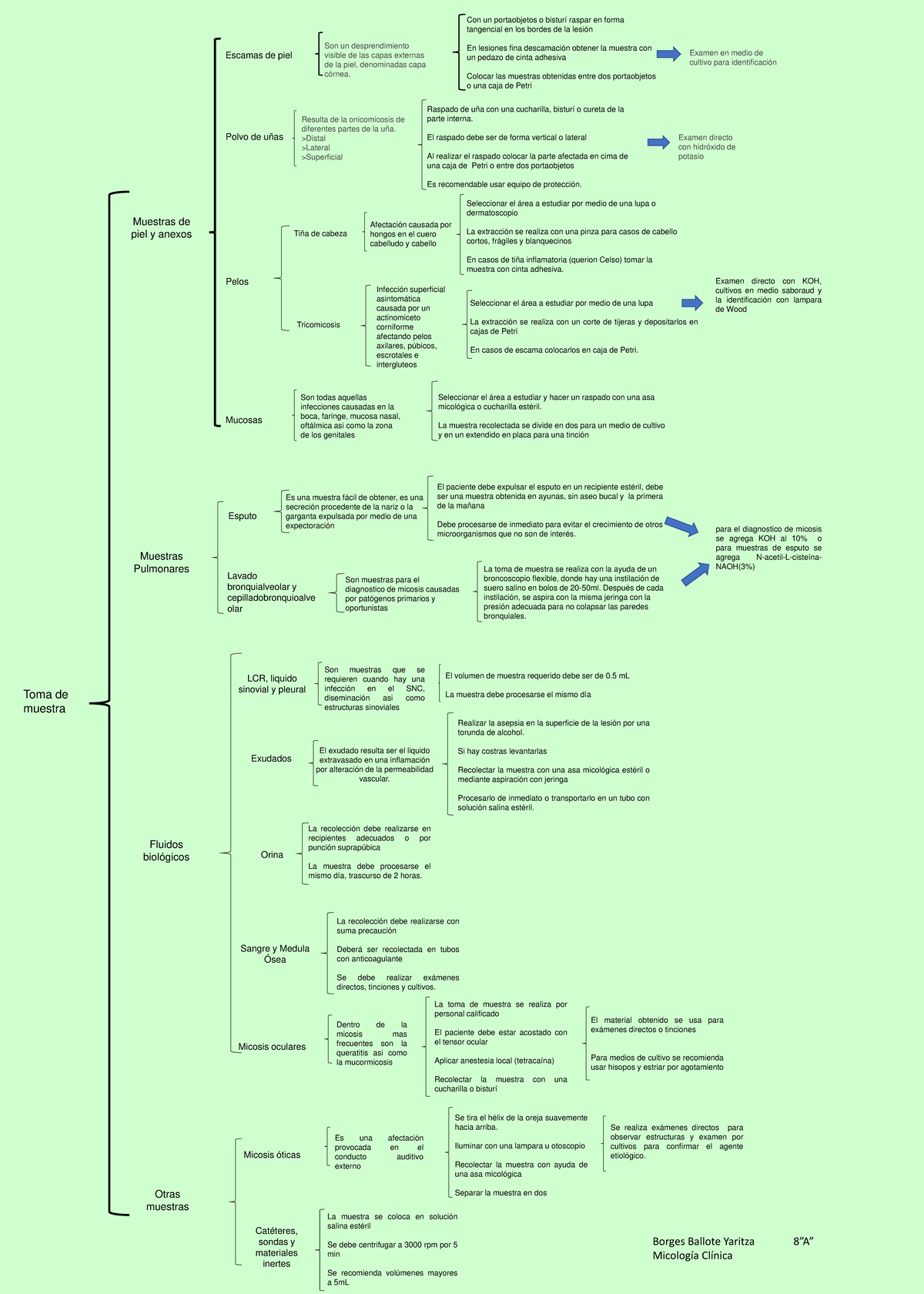 Cuadro sinoptico mico - micología - Warning: TT: undefined function: 32 Warning: TT: undefined ...