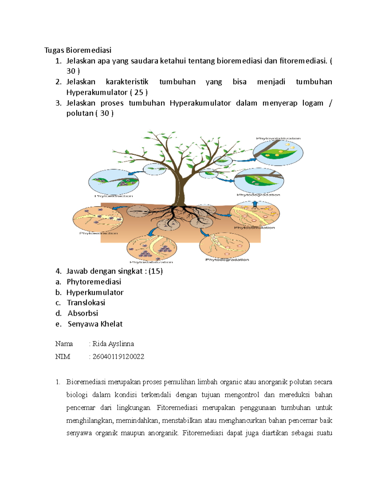 Tugas Bioremediasi 22 - Tugas Bioremediasi 1. Jelaskan apa yang saudara ...