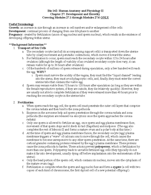 Bio142Chapter 16outline - Bio 142: Human Anatomy and Physiology II ...