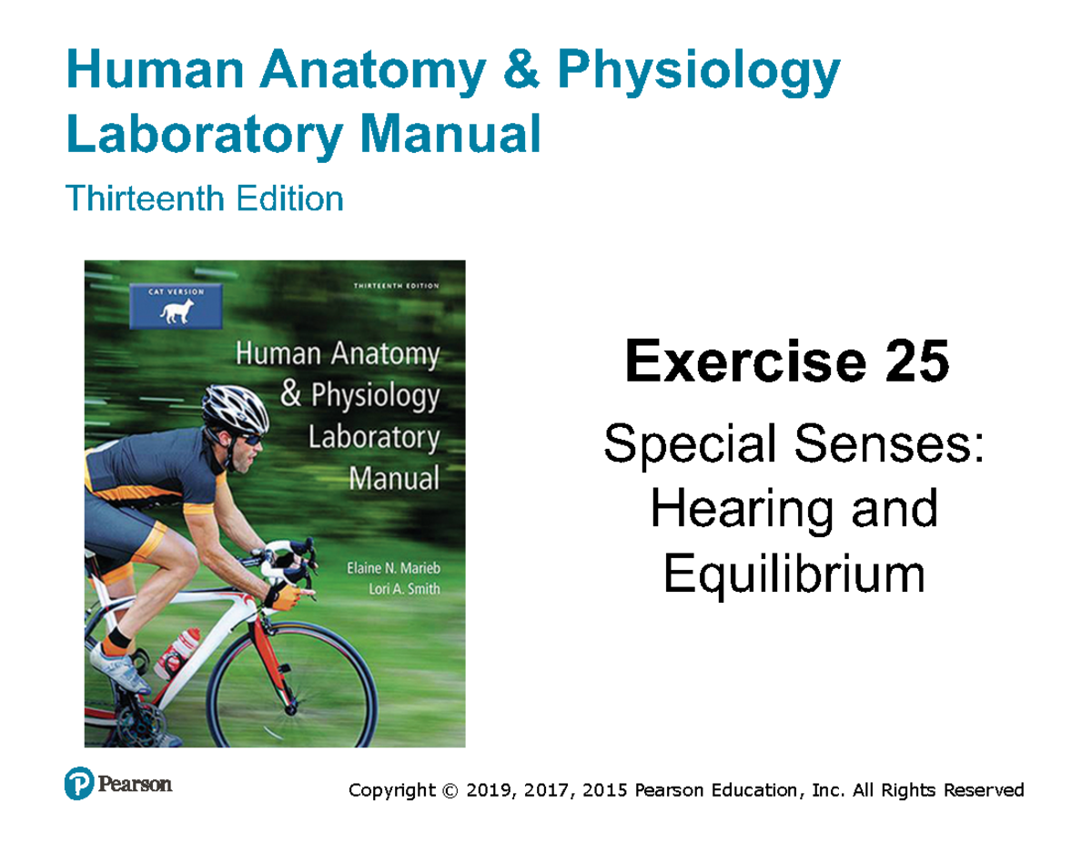 Hearing and Equilibrium (Exer 25) - BIO 2403 - Human Anatomy & Physiology Laboratory Manual ...