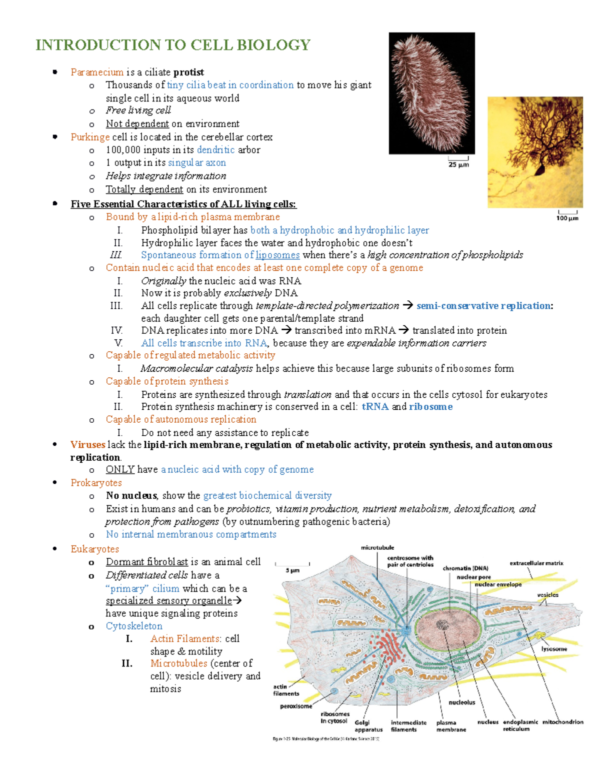 Introduction to Cell Biology - Studocu