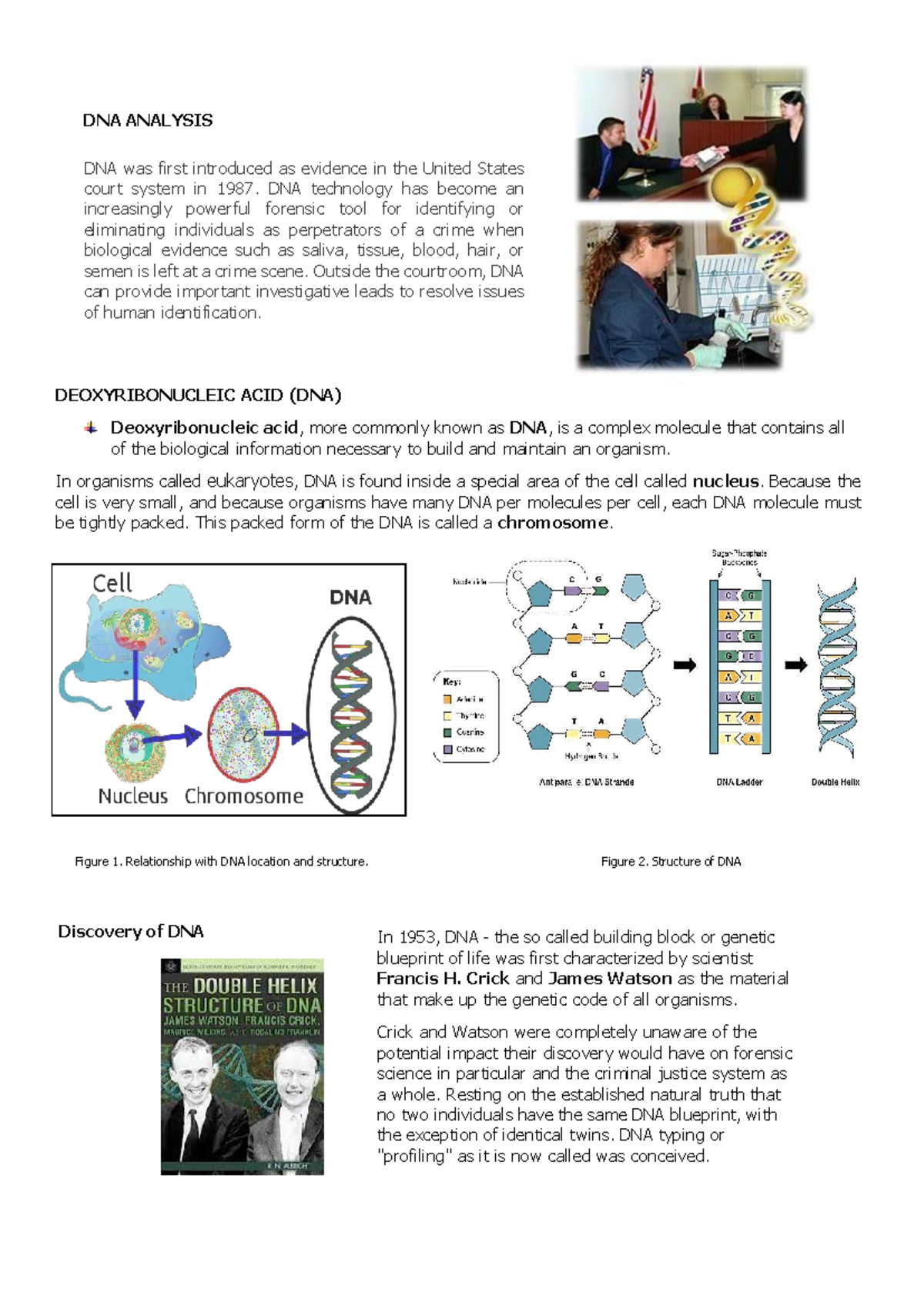Unit-3 Lesson-6 - Notes for forensic - DNA ANALYSIS DNA was first ...